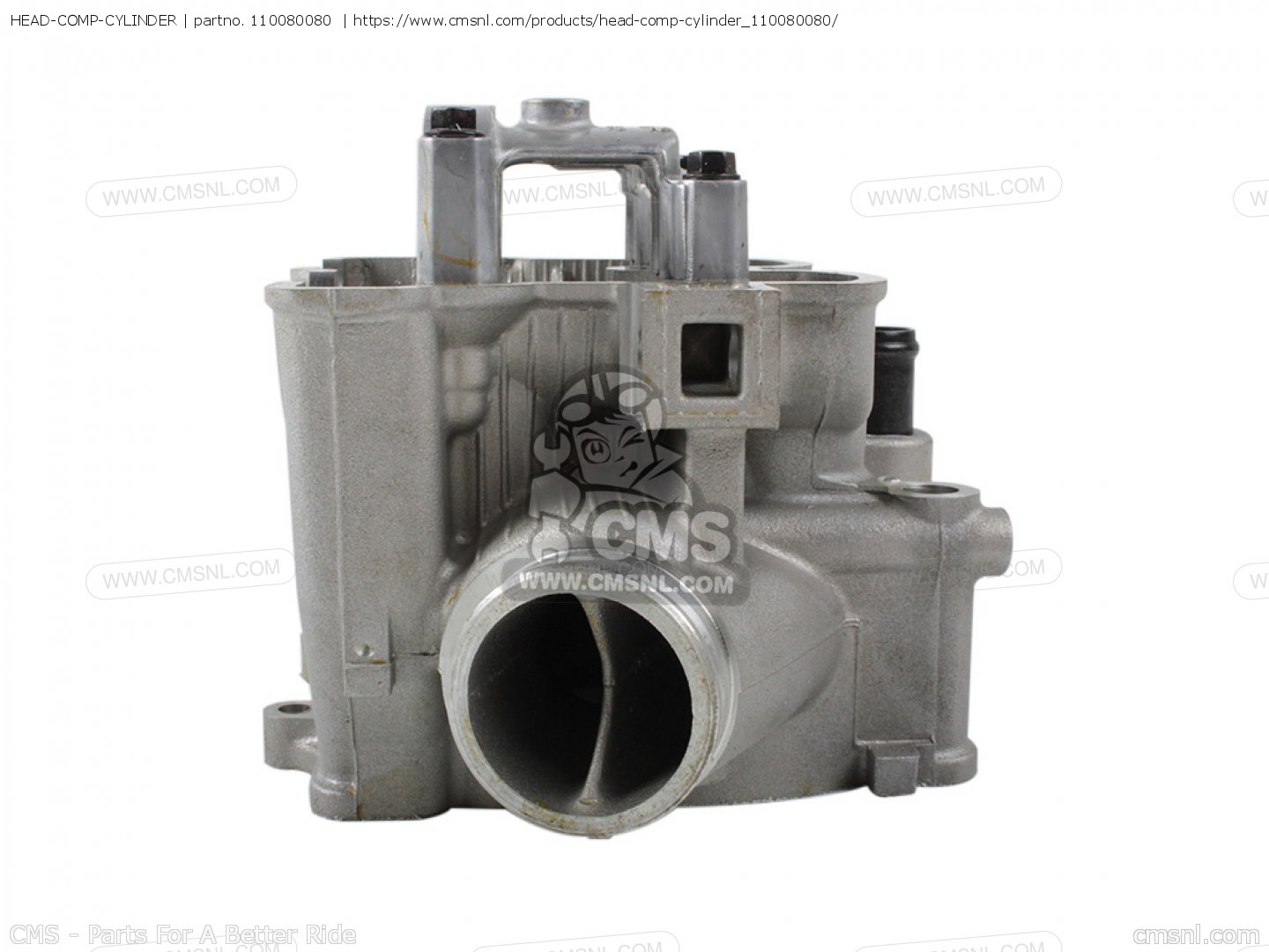 110080080: Head-comp-cylinder Kawasaki - buy the 11008-0080 at CMSNL