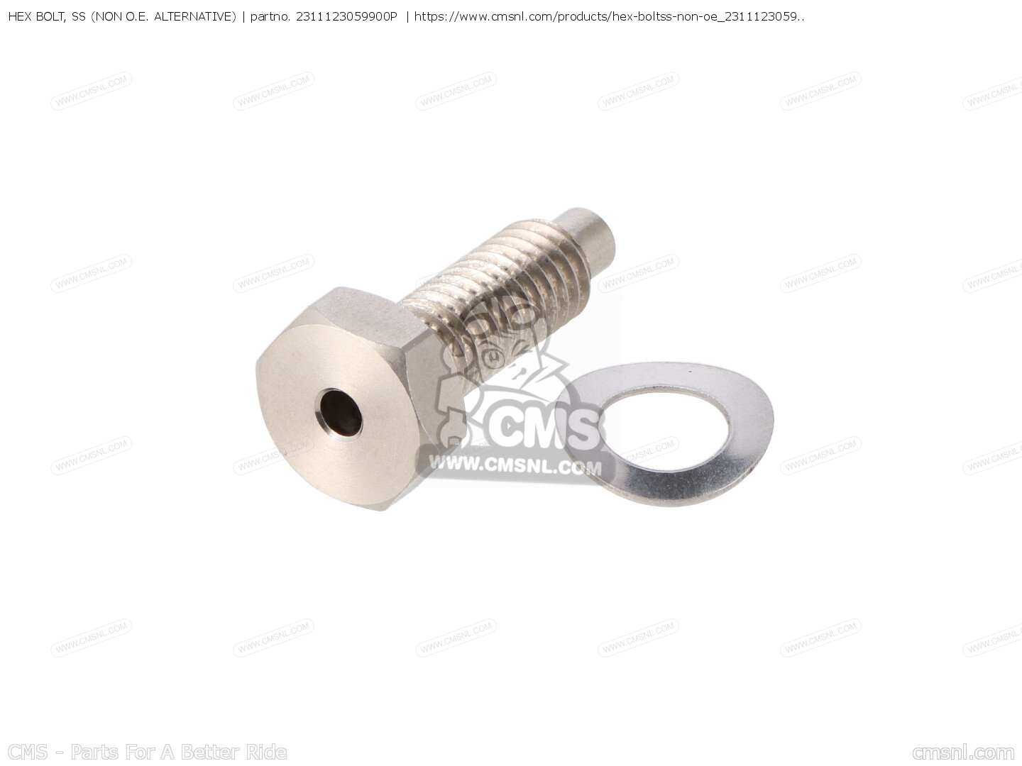 2311123059900P: Hex Bolt, Ss (non O.e. Alternative) Alternative Parts ...
