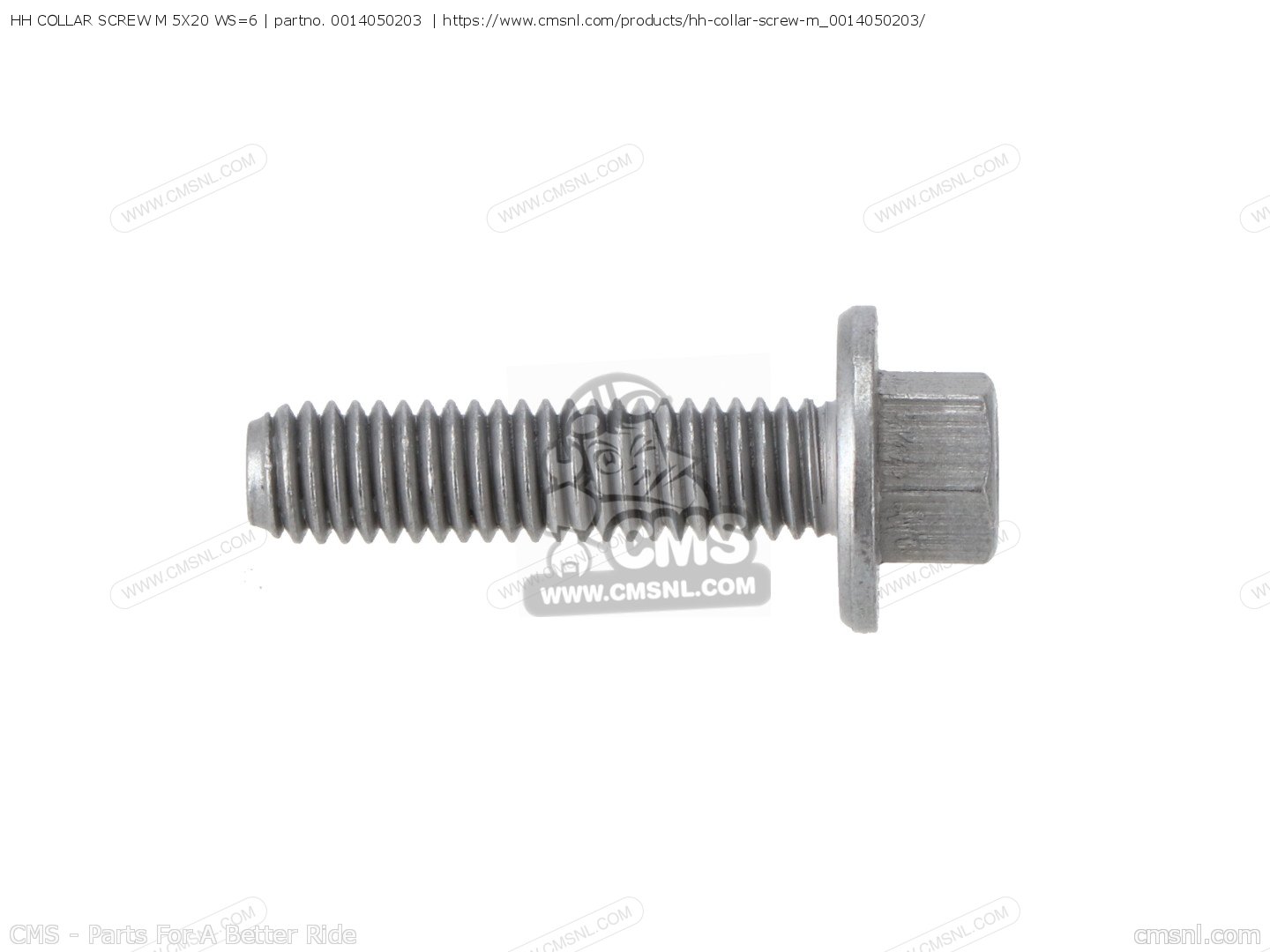 HH COLLAR SCREW M 5X20 WS=6 for 300 EXC Europe 2004 - order at CMSNL