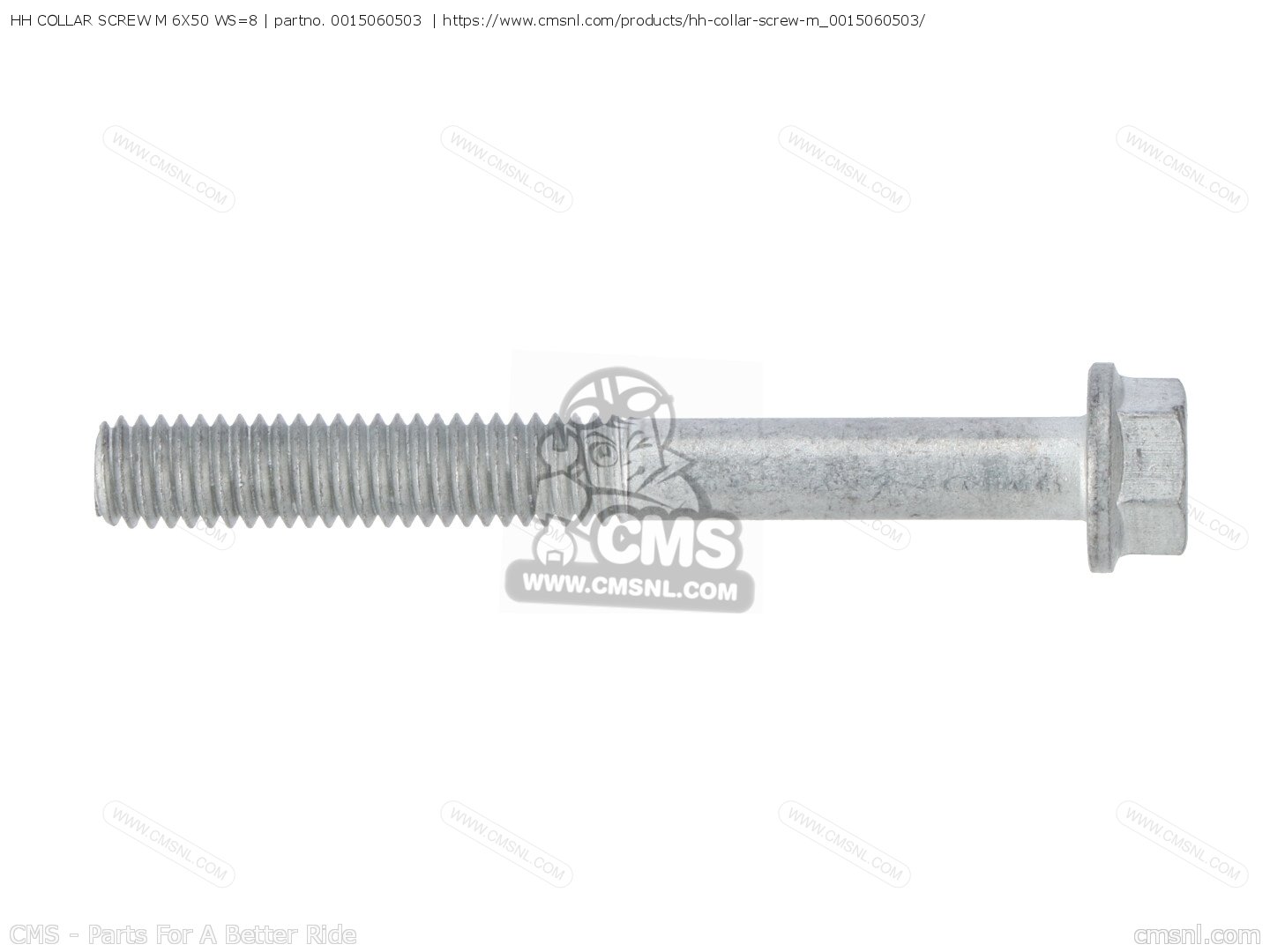 HH COLLAR SCREW M 6X50 WS=8 for KTM - order at CMSNL