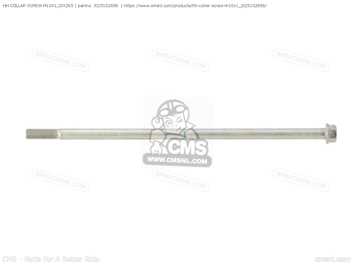 HH COLLAR SCREW M10X1,25X265 for KTM - order at CMSNL