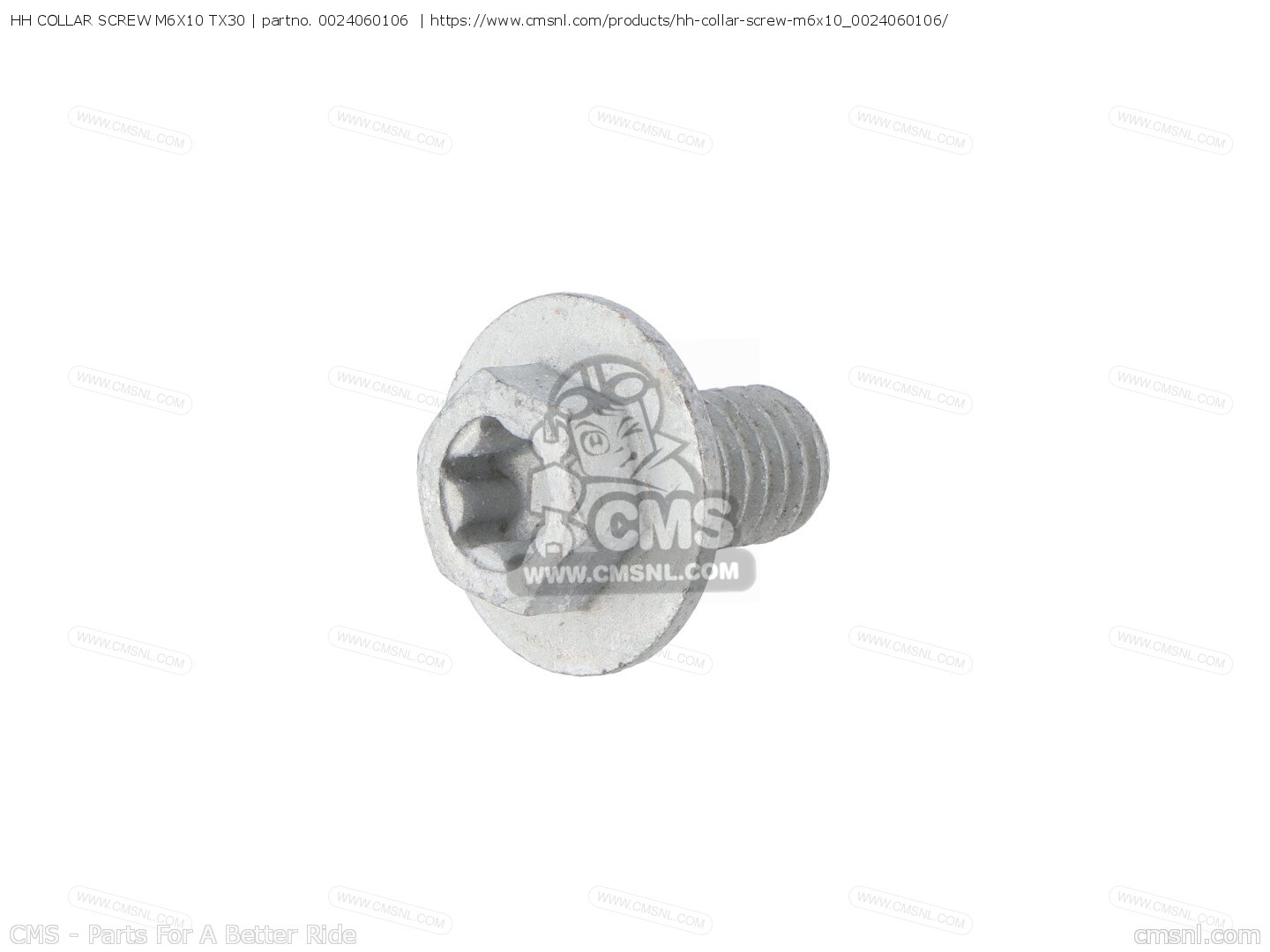 HH COLLAR SCREW M6X10 TX30 for 790 Adventure R ASEAN 2020 - order at CMSNL