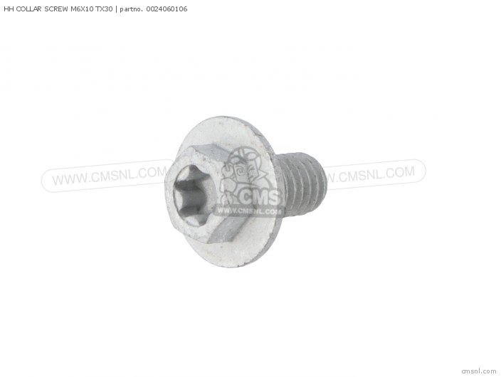 HH COLLAR SCREW M6X10 TX30 for 790 Adventure R ASEAN 2020 - order at CMSNL