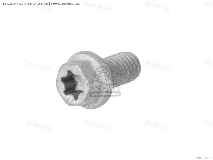 HH COLLAR SCREW M6X12 TX30 for KTM - order at CMSNL
