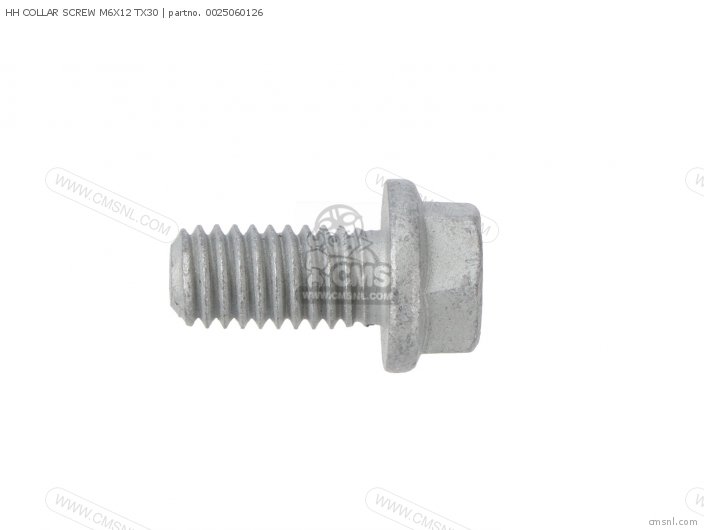 HH COLLAR SCREW M6X12 TX30 for KTM - order at CMSNL