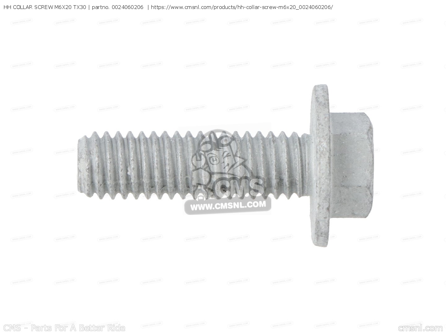 HH COLLAR SCREW M6X20 TX30 for KTM - order at CMSNL