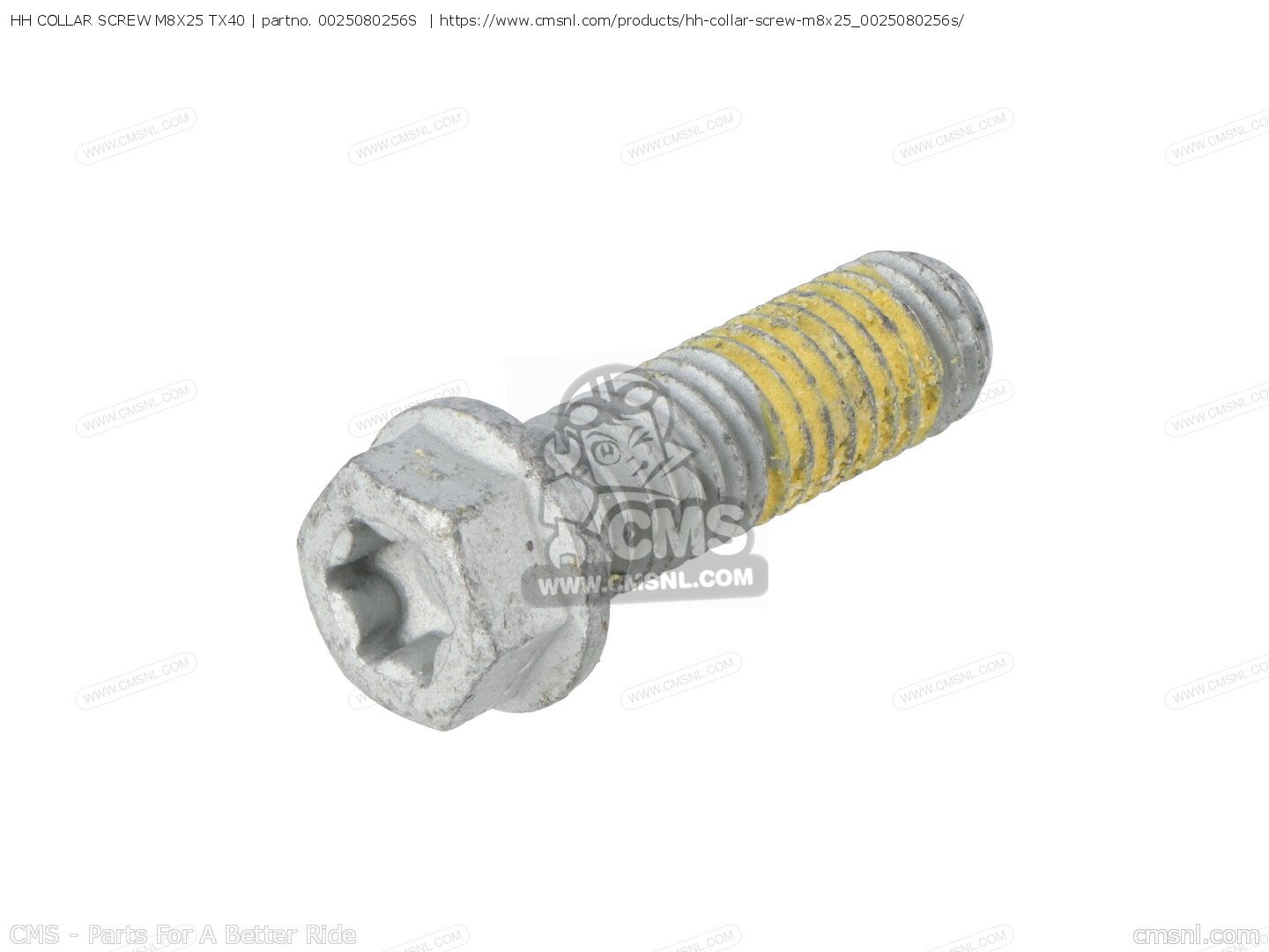 HH COLLAR SCREW M8X25 TX40 for 790 Adventure R CN 2020 - order at CMSNL