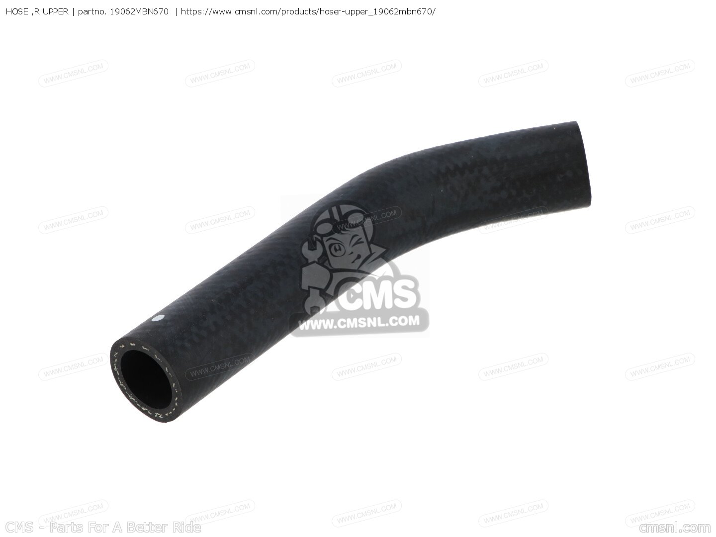 19062MBN670: HOSE ,R UPPER Honda - buy the 19062-MBN-670 at CMSNL