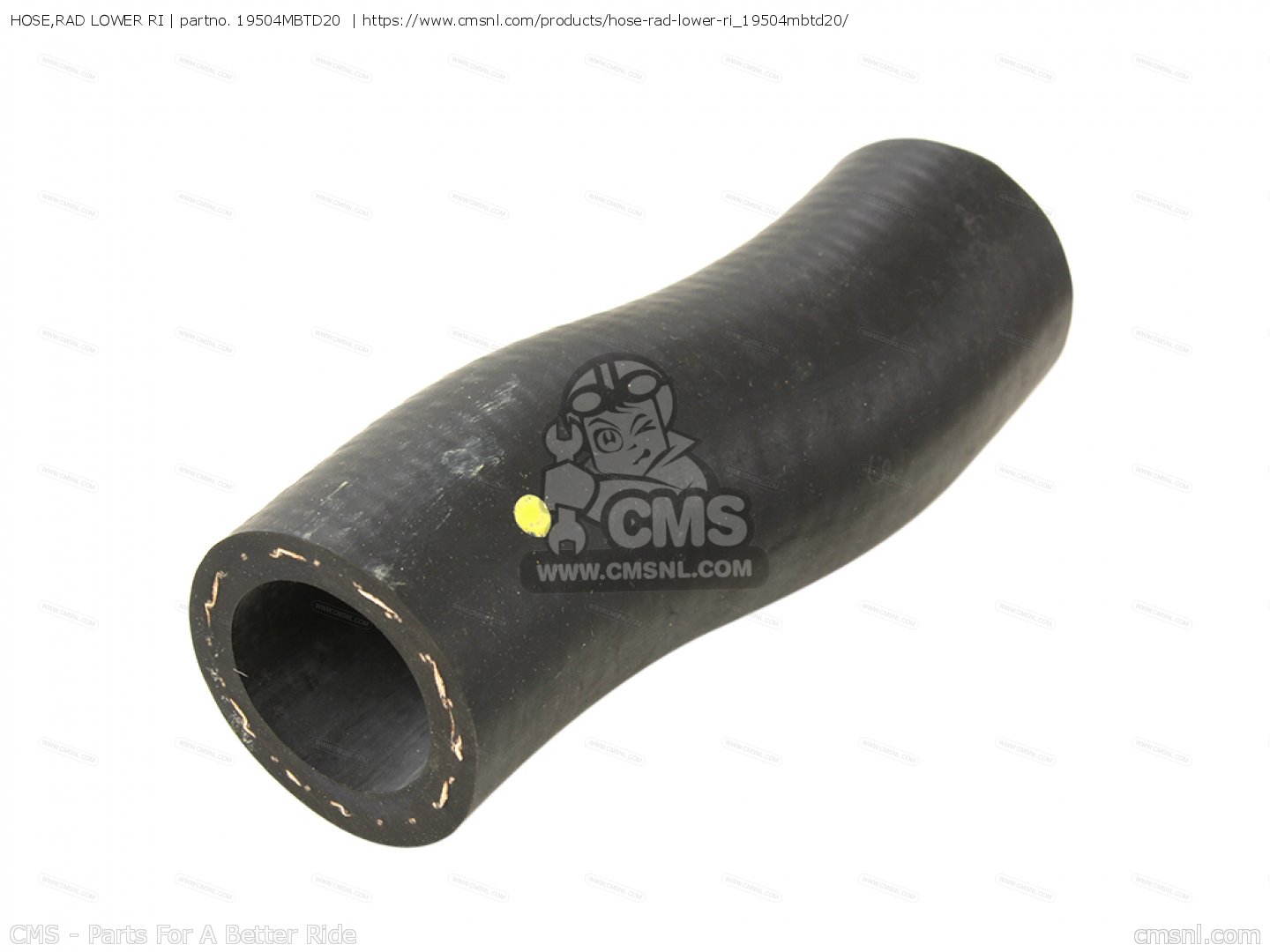 19504MBTD20: Hose,rad Lower Ri Honda - buy the 19504-MBT-D20 at CMSNL