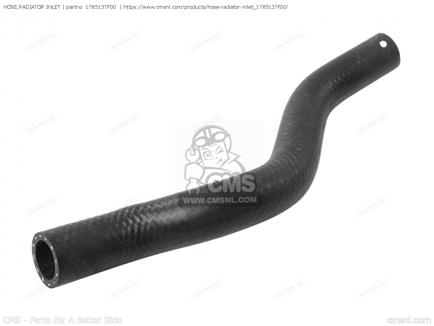 1785137F00: HOSE,RADIATOR INLET Suzuki - buy the 17851-37F00 at CMSNL