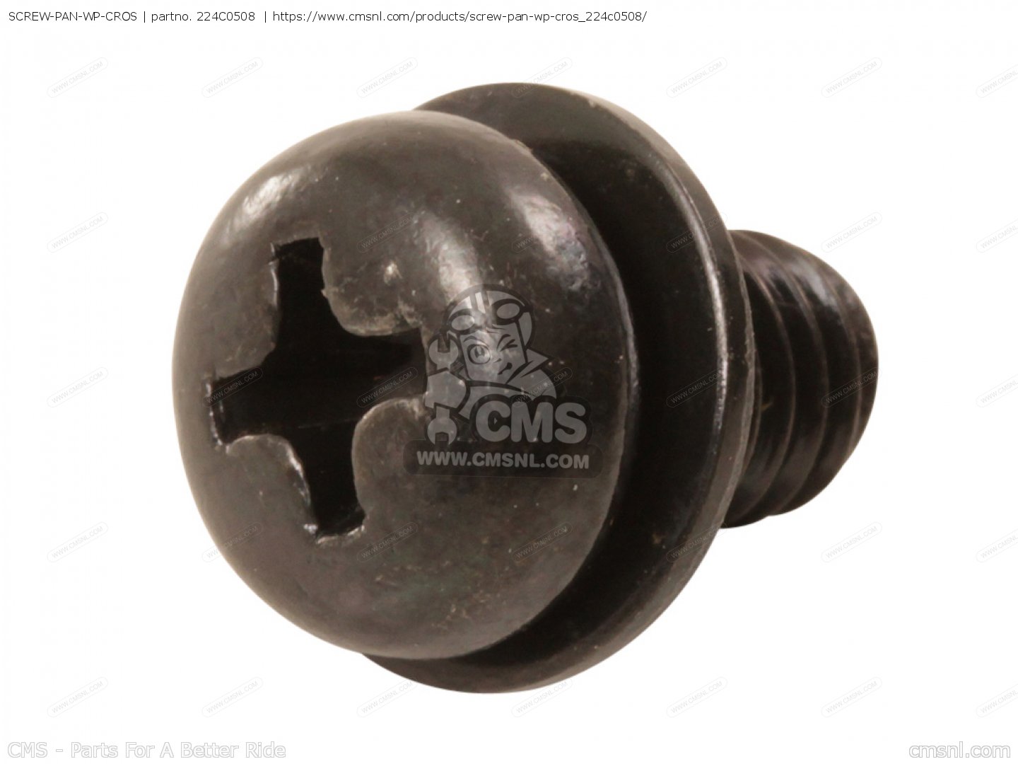 クロス穴付きパンヘッドネジをKawasakiに - CMSNLで注文