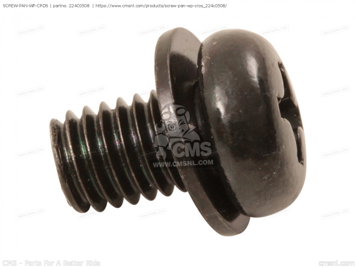 クロス穴付きパンヘッドネジをKawasakiに - CMSNLで注文