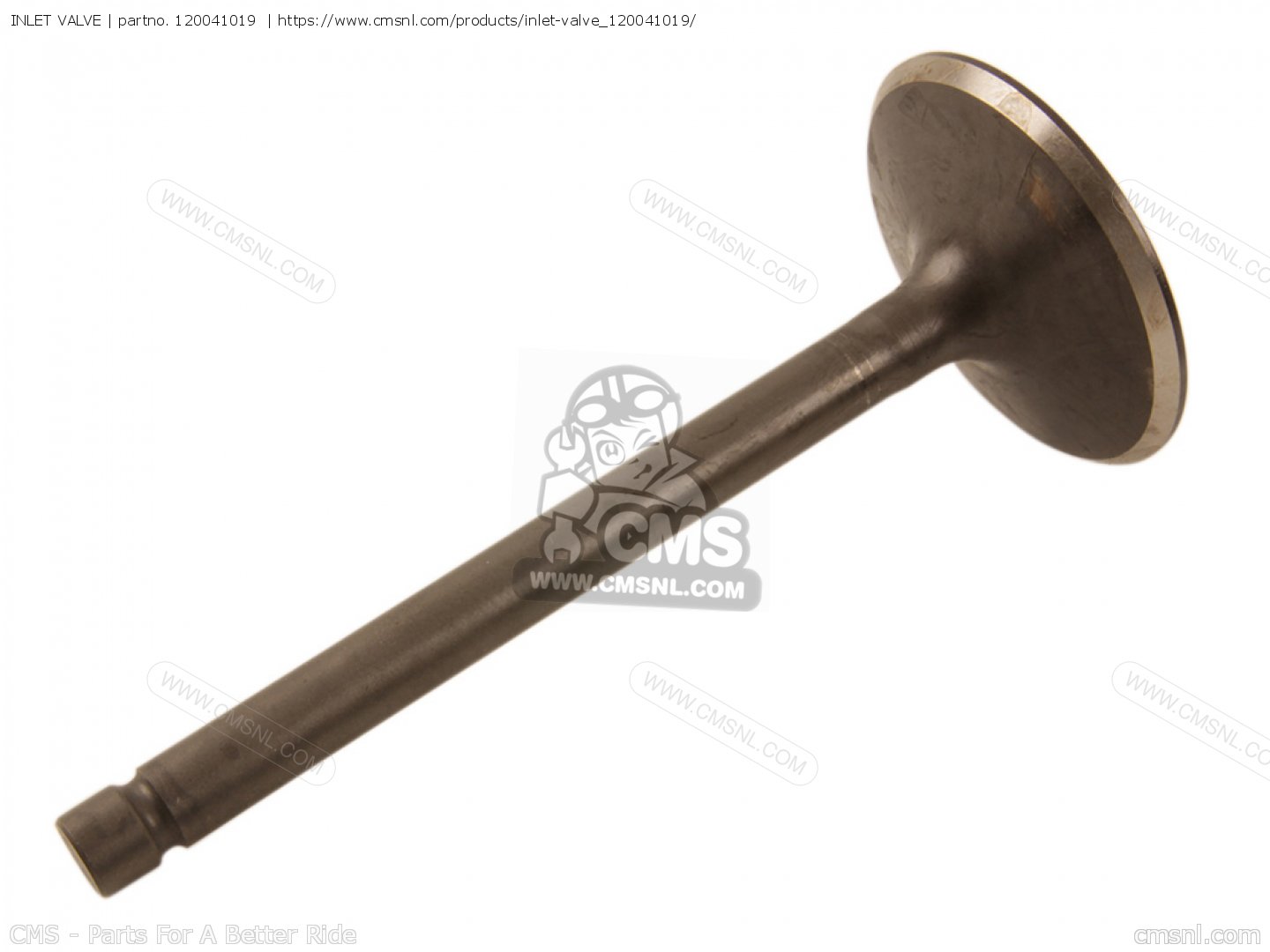 120041019: Inlet Valve Kawasaki - buy the 12004-1019 at CMSNL