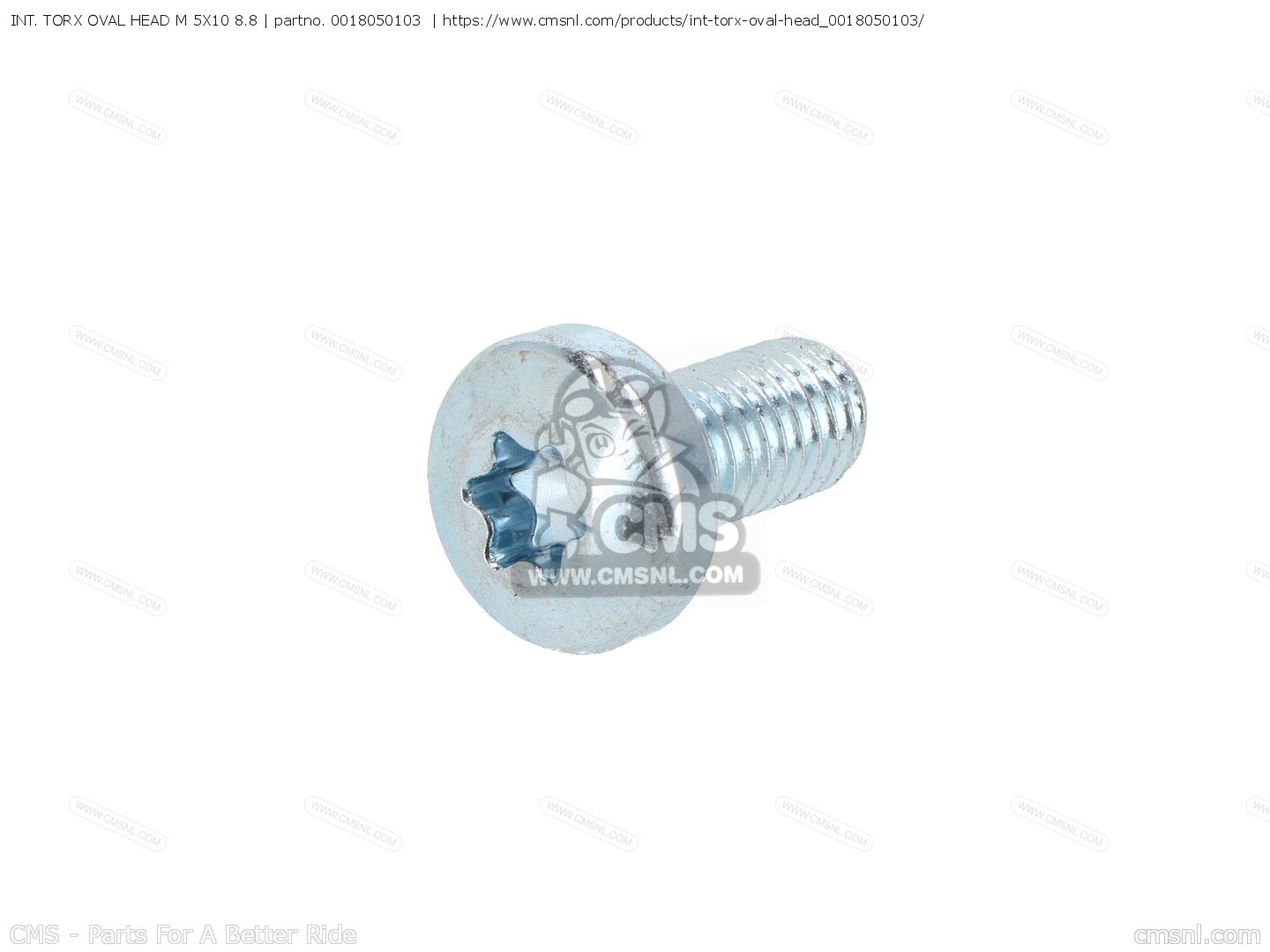 INT. TORX OVAL HEAD M 5X10 8.8 for 790 Adventure R ASEAN 2020 - order ...