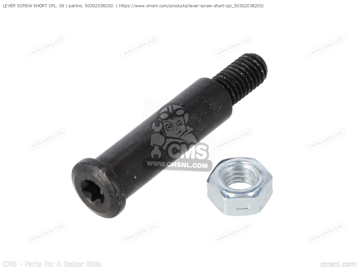 LEVER SCREW SHORT CPL. 09 for 690 SMC R US 2020 - order at CMSNL
