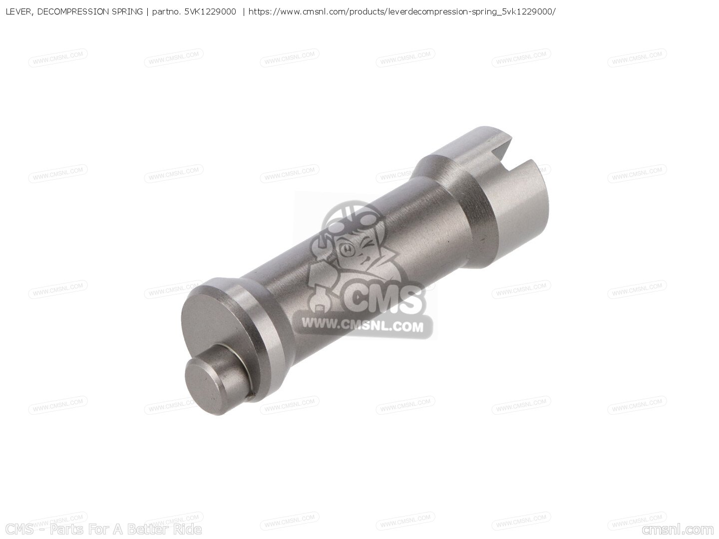 LEVER, DECOMPRESSION SPRING for XT660X 2007 10S1 HUNGARY 1F10S-300S1 ...