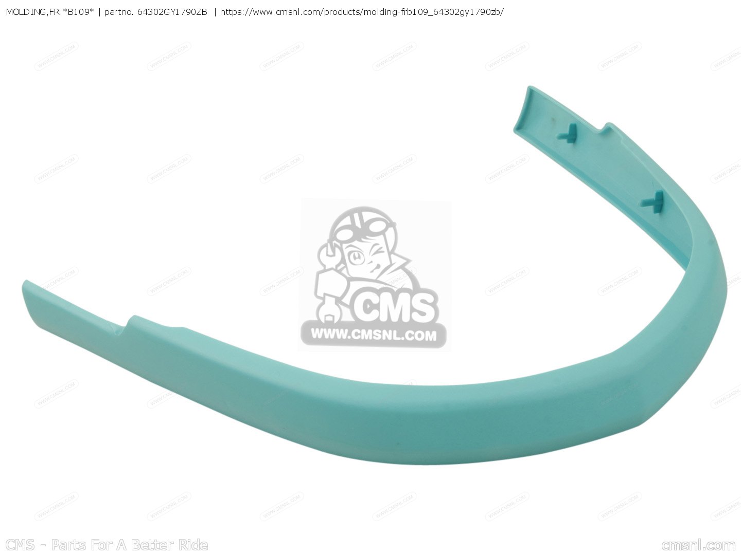 MOLDING,FR.*B109* for SA50 VISION 1993 (P) ENGLAND - order at CMSNL