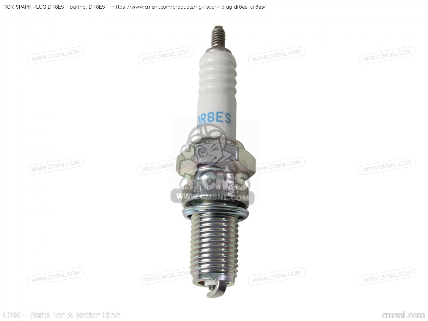 DR8ES: NGK SPARK-PLUG DR8ES Kawasaki - buy the DR8ES at CMSNL