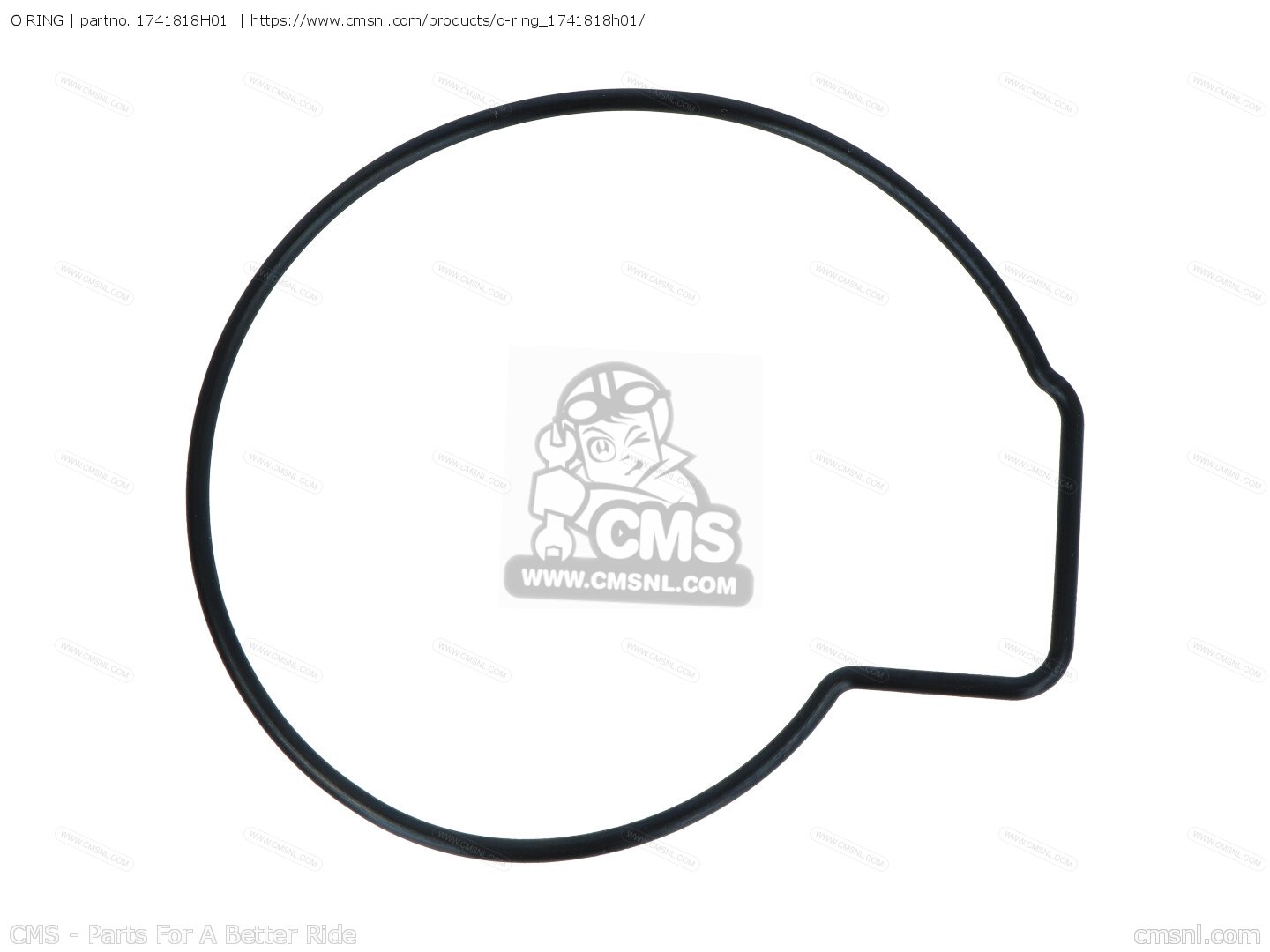 1741818H01: O RING Suzuki - buy the 17418-18H01 at CMSNL