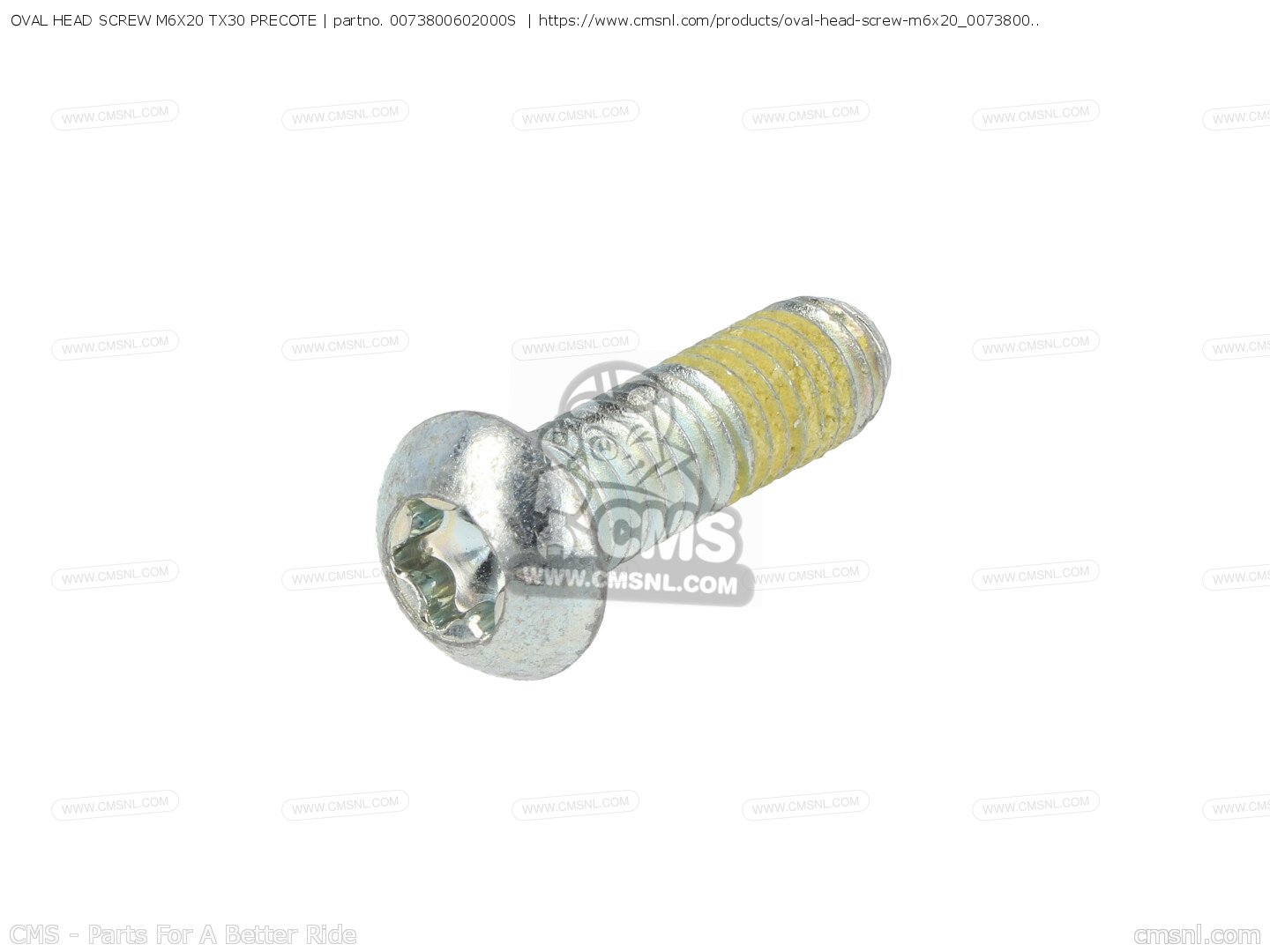 0073800602000S: Oval Head Screw M6x20 Tx30 Precote Ktm - buy the ...