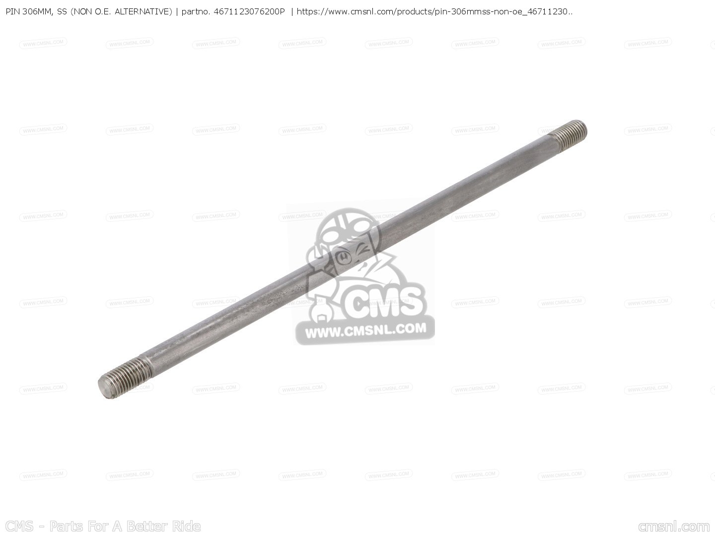 PIN 306MM, SS (NON O.E. ALTERNATIVE) for Alternative parts - order at CMSNL