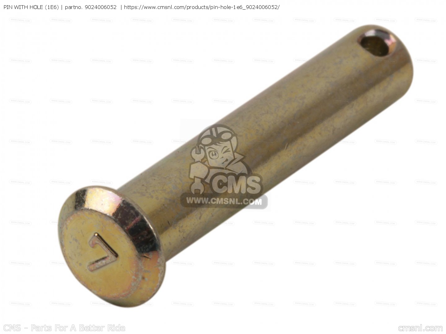 PIN WITH HOLE (1E6) for XT500 1976 DUAL PURPOSE USA - order at CMSNL