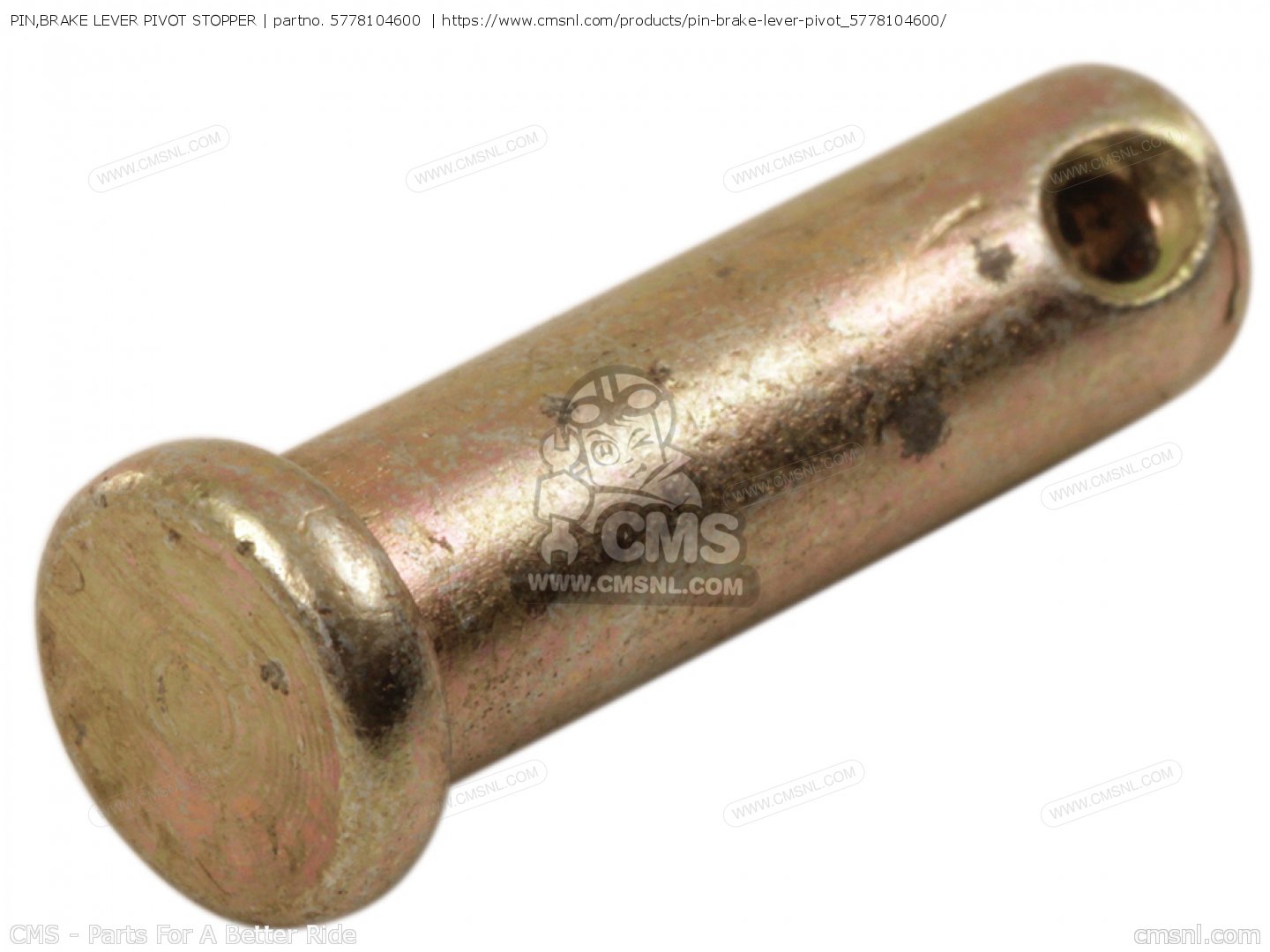 PIN,BRAKE LEVER PIVOT STOPPER for Suzuki - order at CMSNL