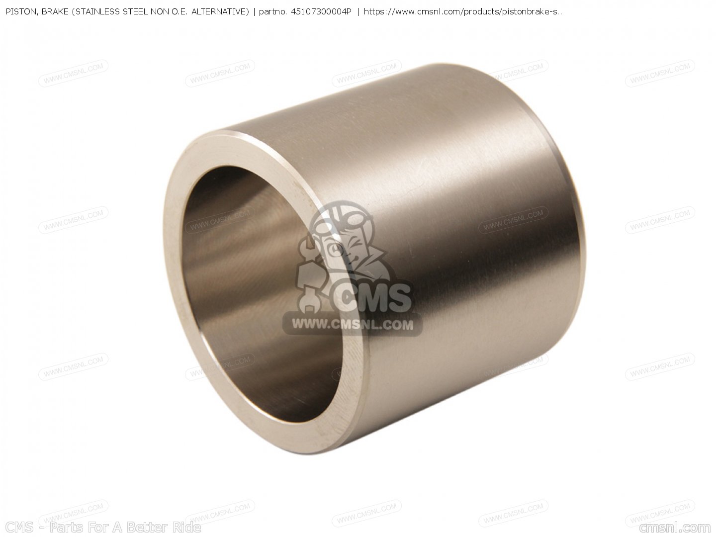 45107300004P: PISTON, BRAKE (STAINLESS STEEL) (NON O.E. ALTERNATIVE ...