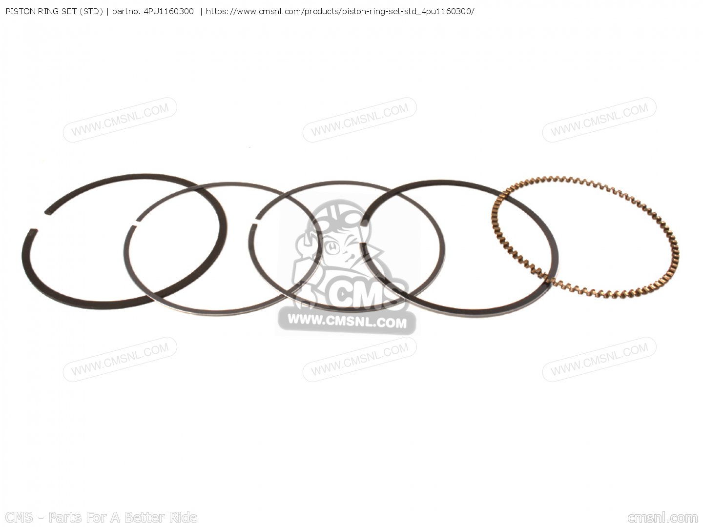 4PU1160300: PISTON RING SET (STD) Yamaha - buy the 4PU-11603-00-00 at CMSNL