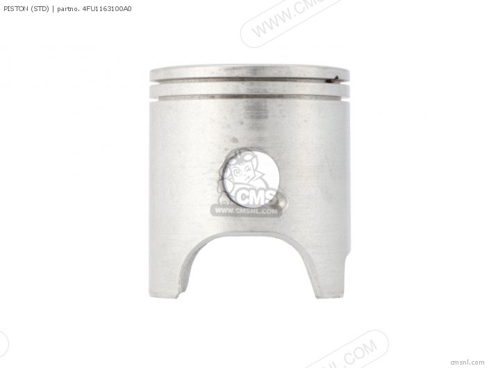 4FU-11631-00-A0 Piston (Std), 4FU1163100A0 Yamaha - TDR125