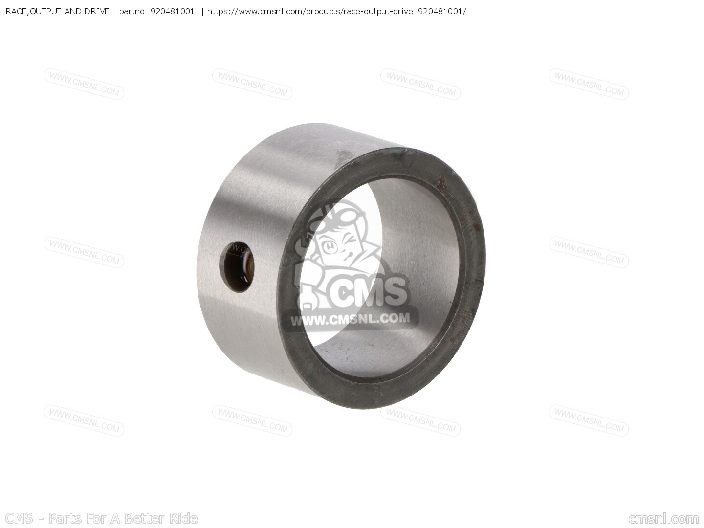 920481001: RACE,OUTPUT AND DRIVE Kawasaki - buy the 92048-1001 at CMSNL