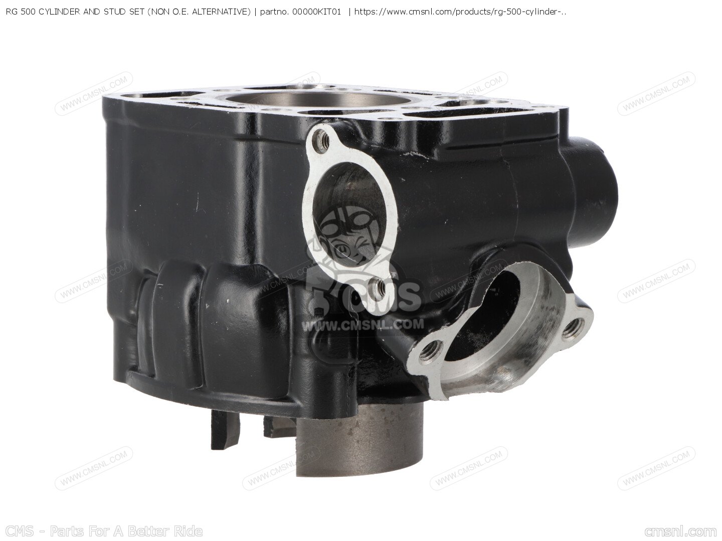 RG 500 CYLINDER REPLACEMENT KIT (NON O.E. ALTERNATIVE) for Suzuki ...