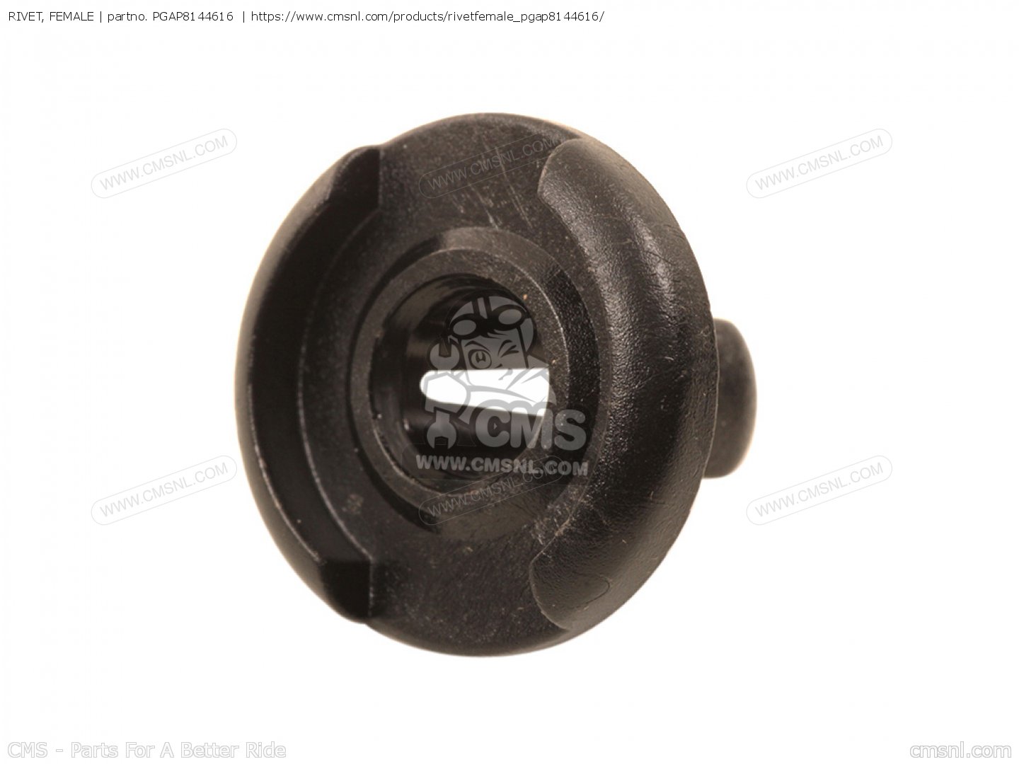 PGAP8144616: Rivet, Female Piaggio Group - buy the AP8144616 at CMSNL