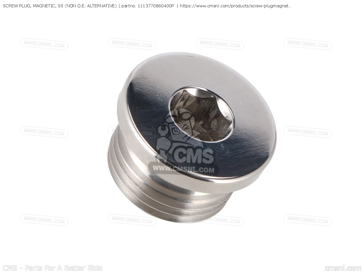 1113770860400P: Screw Plug, Magnetic, Ss (non O.e. Alternative ...