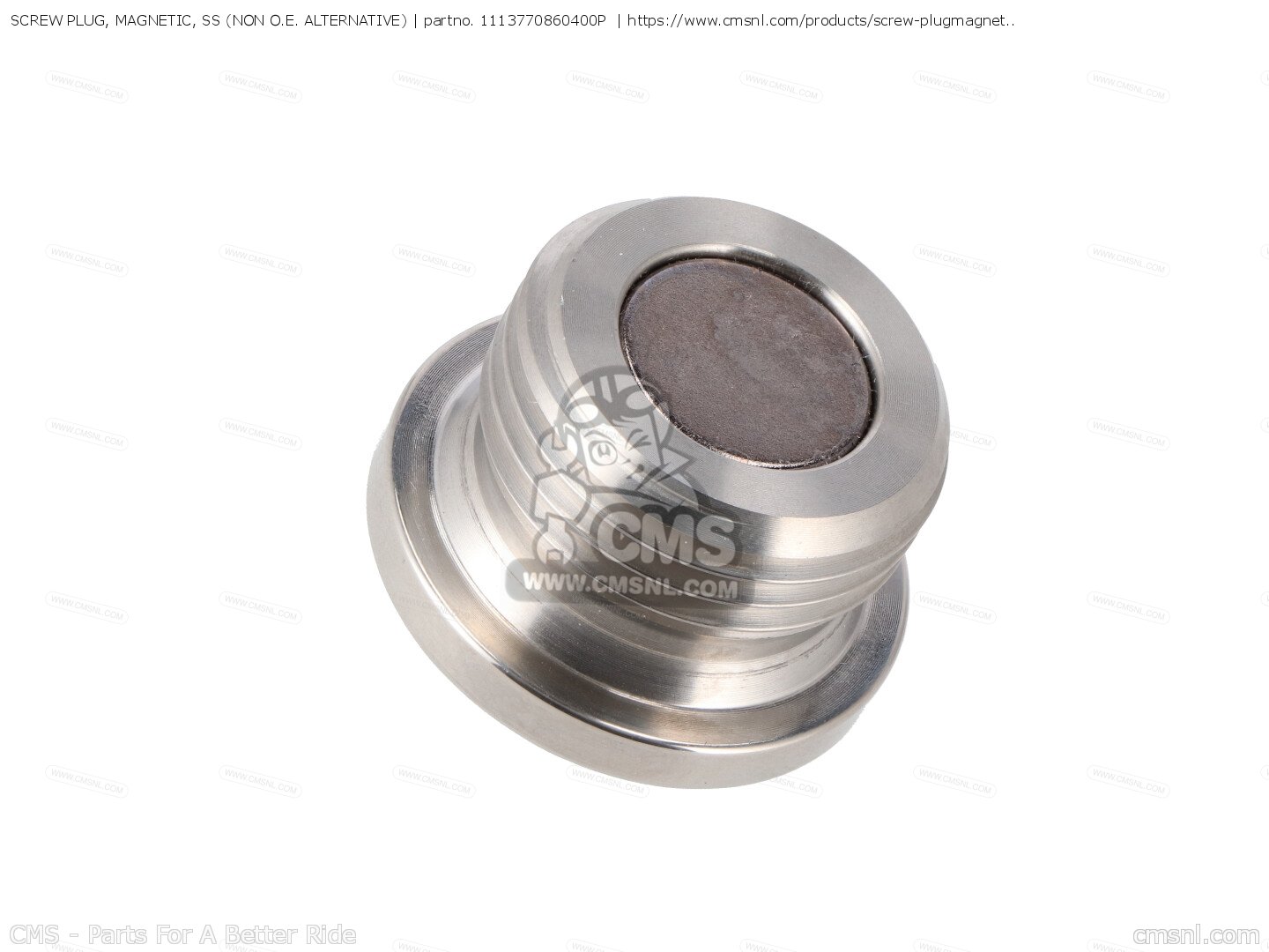 1113770860400P: Screw Plug, Magnetic, Ss (non O.e. Alternative ...