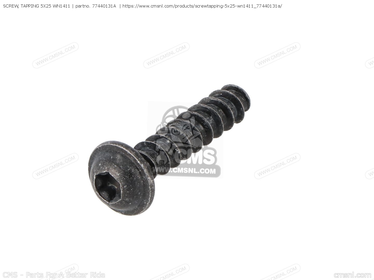 77440131A: SCREW, TAPPING 5X25 WN1411 Ducati - buy the 77440131A at CMSNL