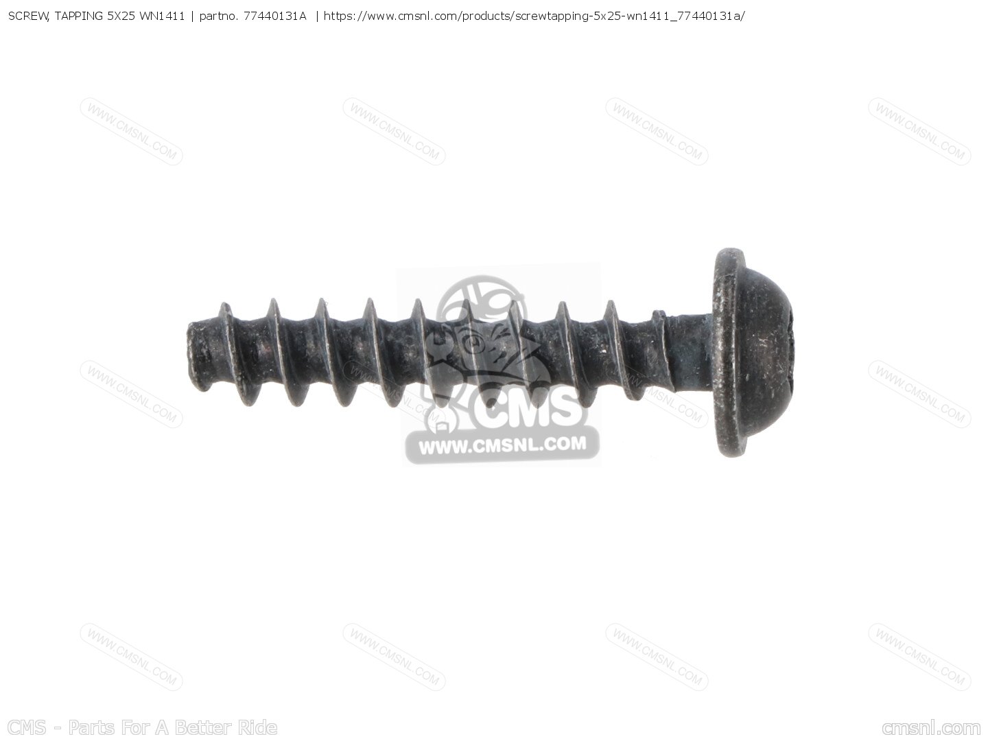 77440131A: SCREW, TAPPING 5X25 WN1411 Ducati - buy the 77440131A at CMSNL