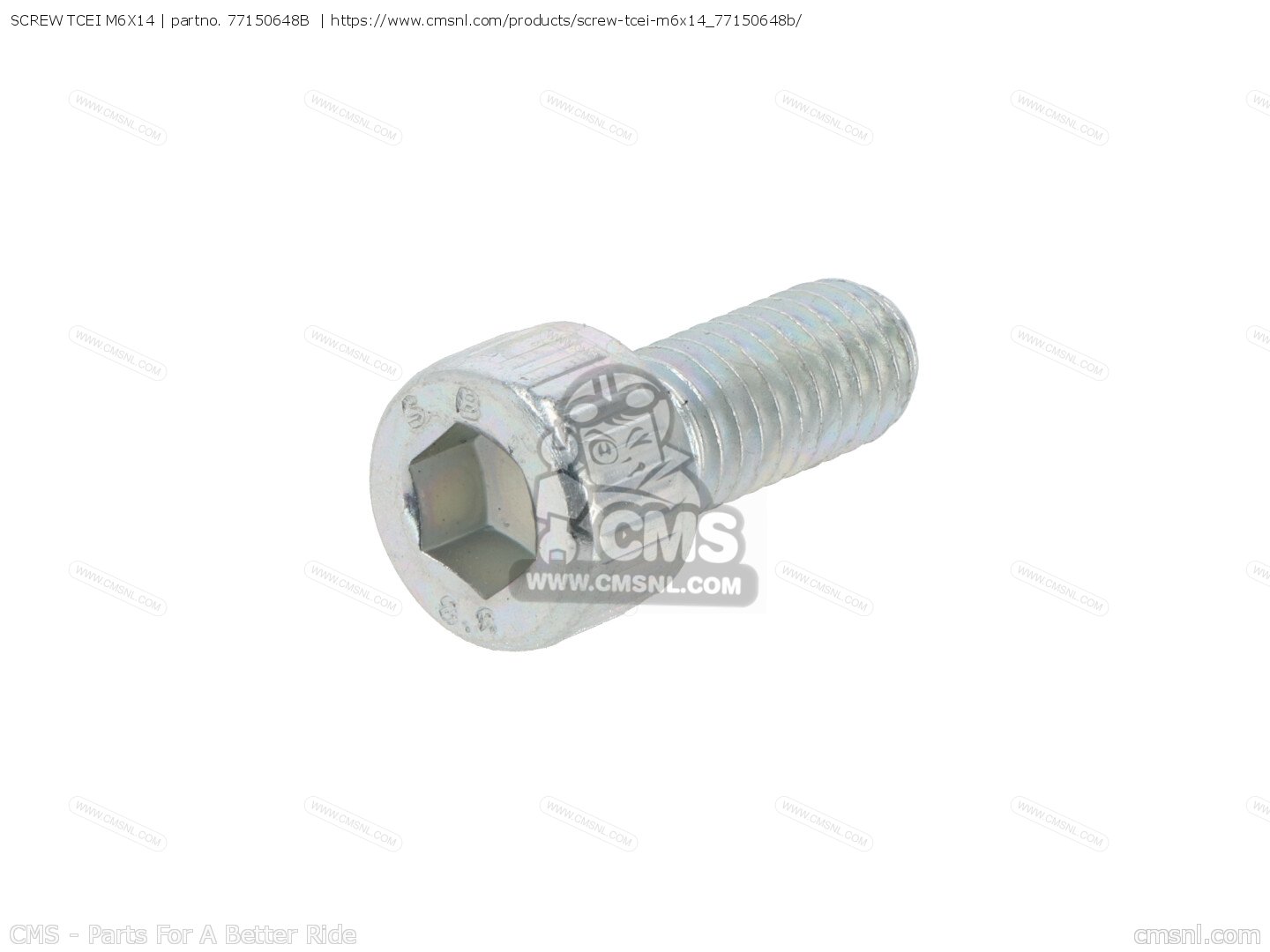 SCREW TCEI M6X14 for Ducati - order at CMSNL