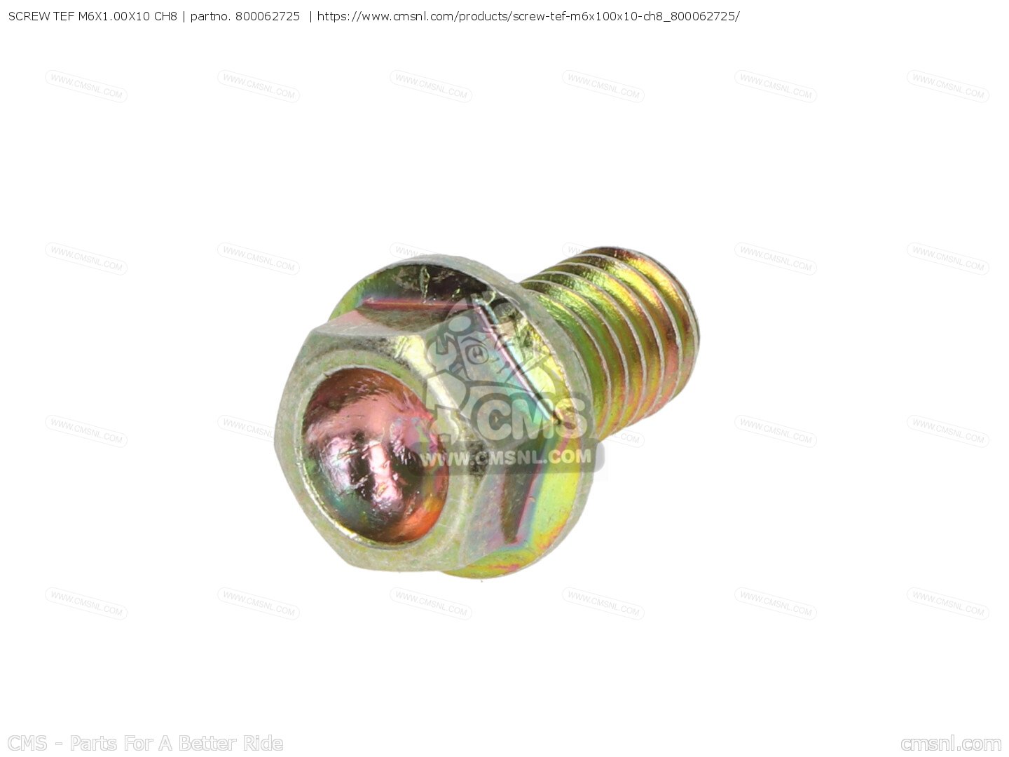 800062725: SCREW TEF M6X1.00X10 CH8 Ducati - buy the 800062725 at CMSNL