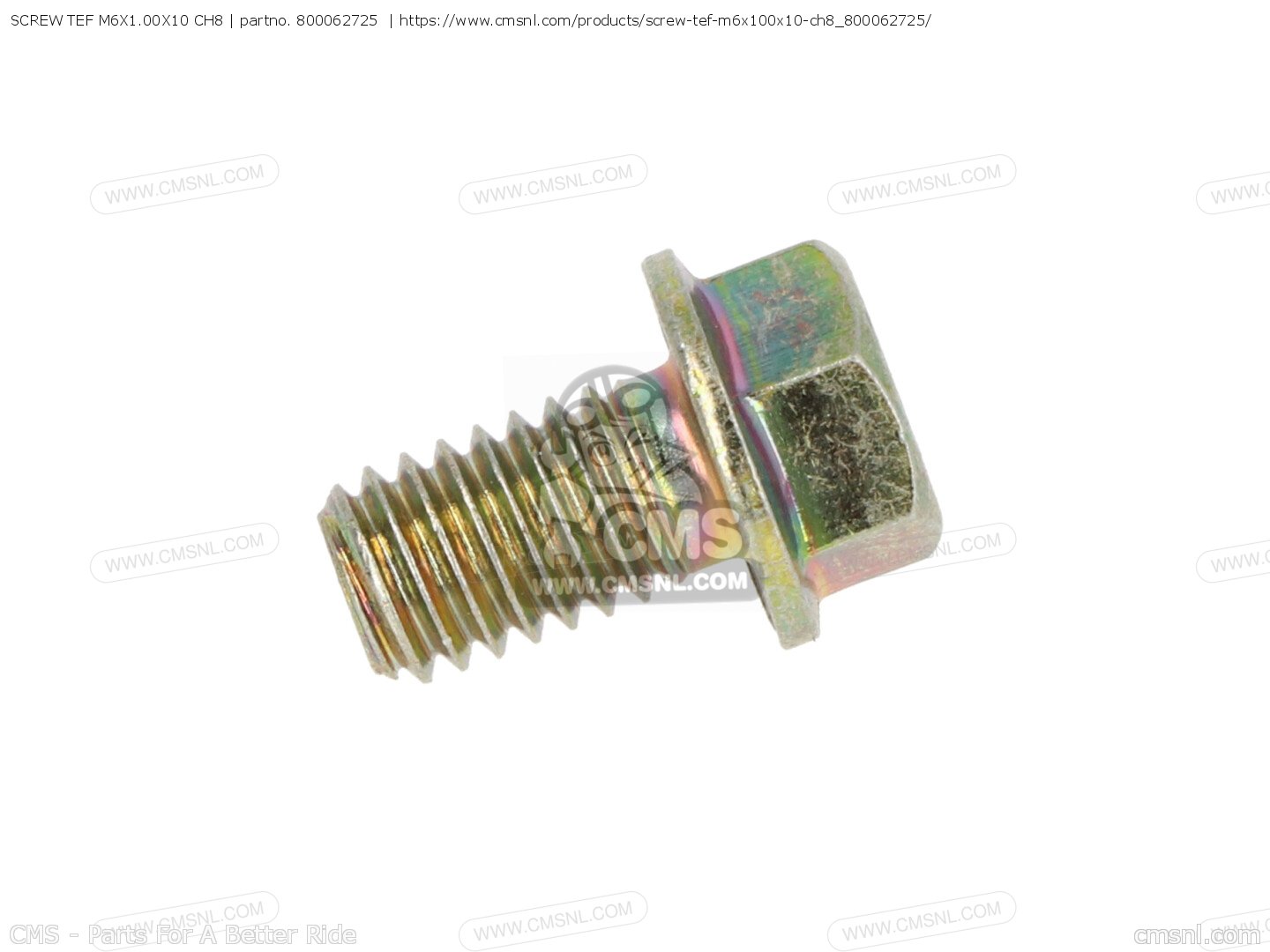 800062725: SCREW TEF M6X1.00X10 CH8 Ducati - buy the 800062725 at CMSNL