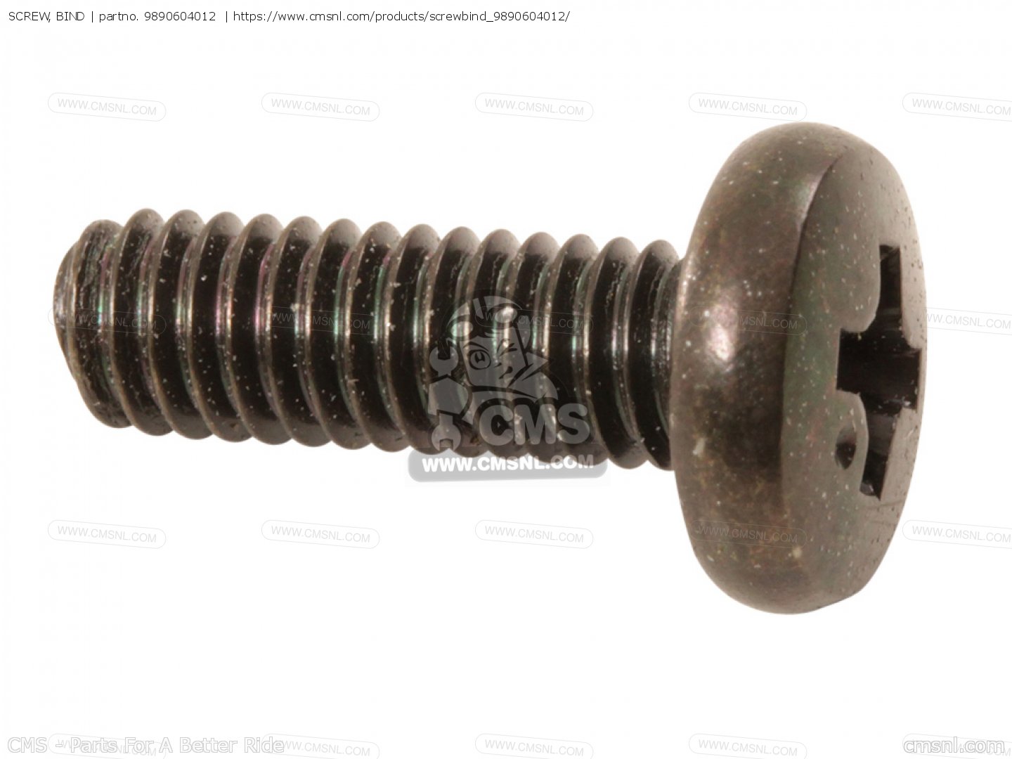 SCREW, BIND for RD125LC 1986 2HK ENGLAND 262HK-310E1 - order at CMSNL