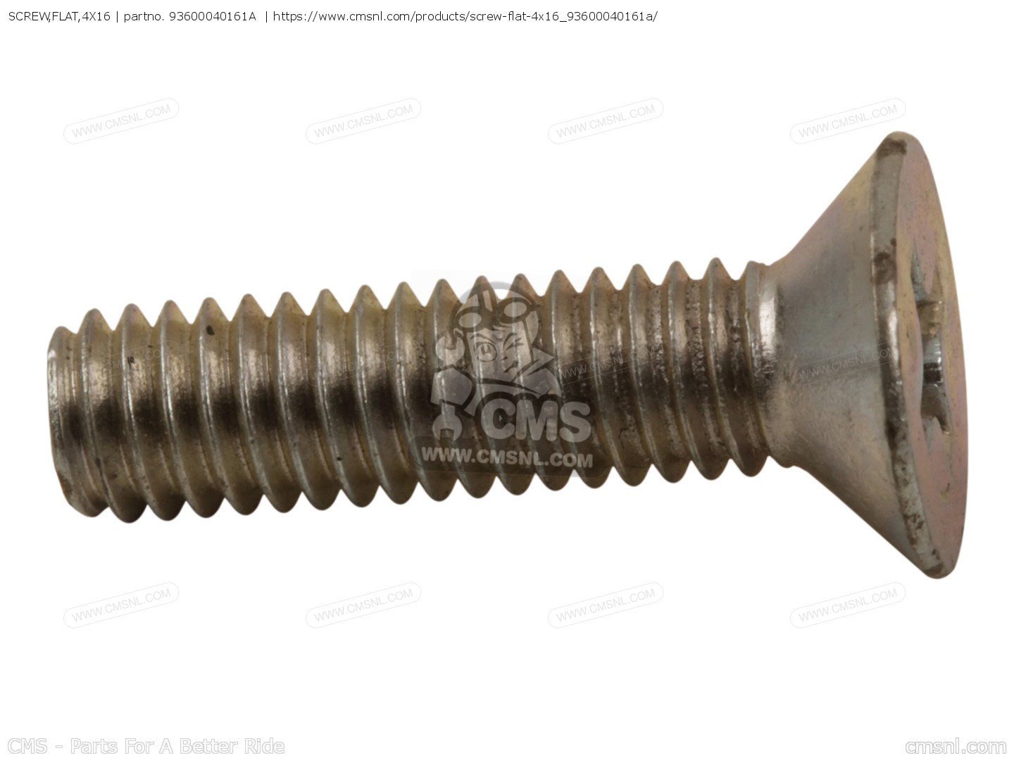 SCREW,FLAT,4X16 for T500 - order at CMSNL