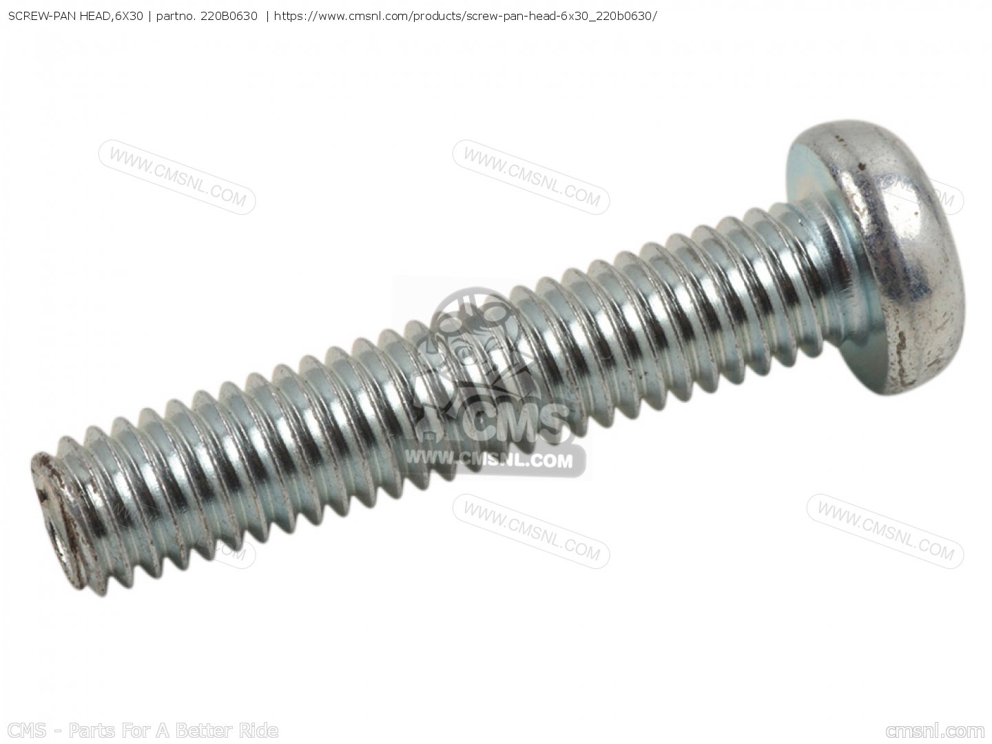 SCREW-PAN HEAD,6X30 for Kawasaki - order at CMSNL