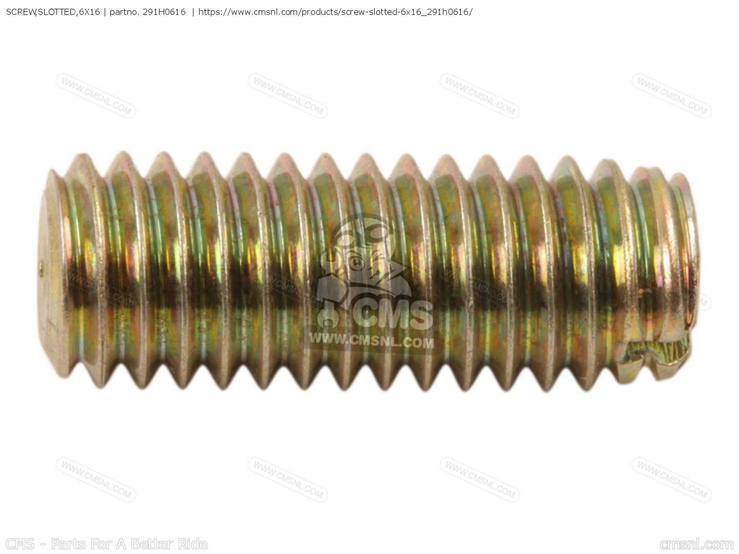 SCREW,SLOTTED,6X16 for Kawasaki - order at CMSNL
