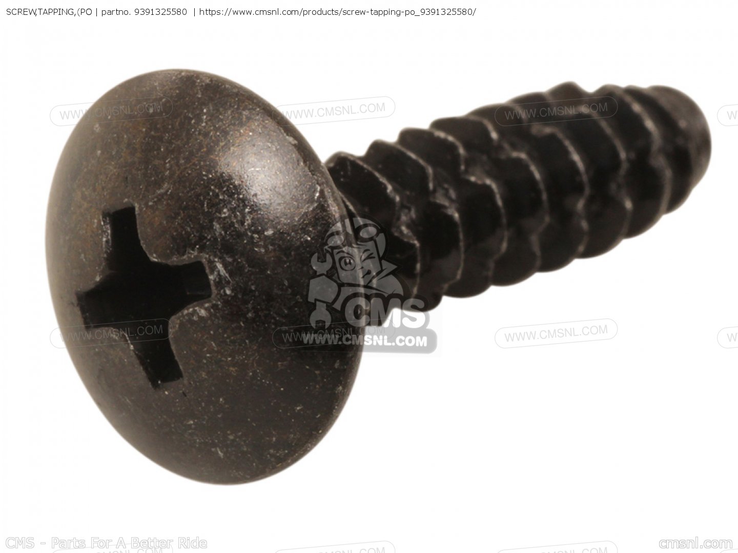 SCREW,TAPPING,(PO for CB500 1997 (V) GERMANY - order at CMSNL