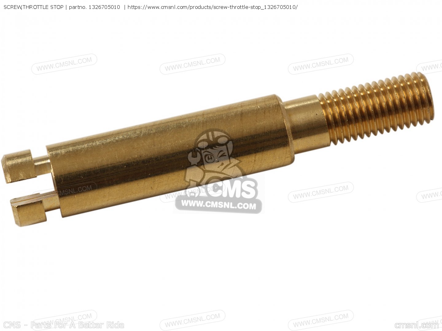 SCREW,THROTTLE STOP for RV50 1981 (X) (E01) - order at CMSNL