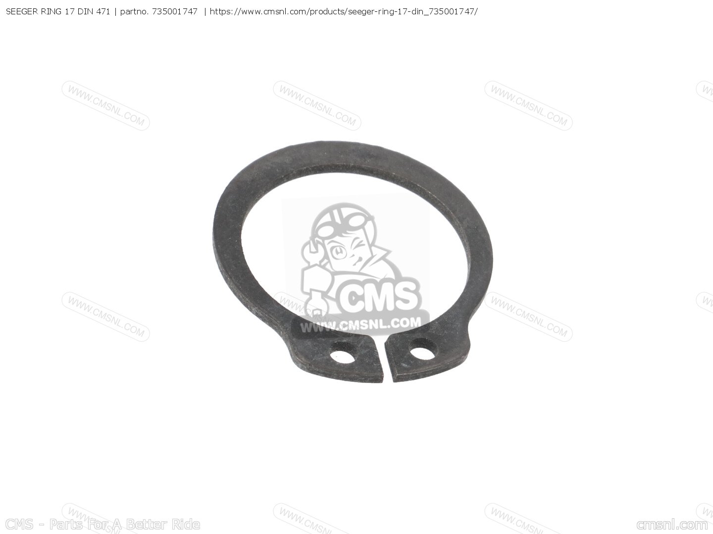 735001747: Seeger Ring 17 Din 471 Ducati - buy the 735001747 at CMSNL