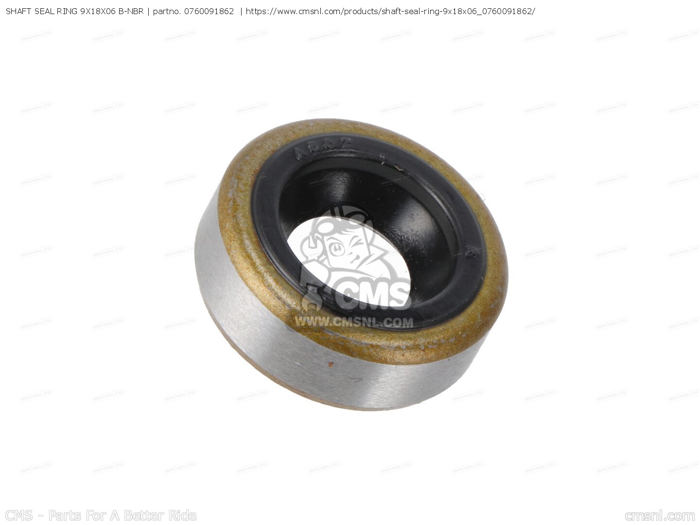 0760091862: SHAFT SEAL RING 9X18X06 B-NBR KTM - buy the 0760091862 at CMSNL