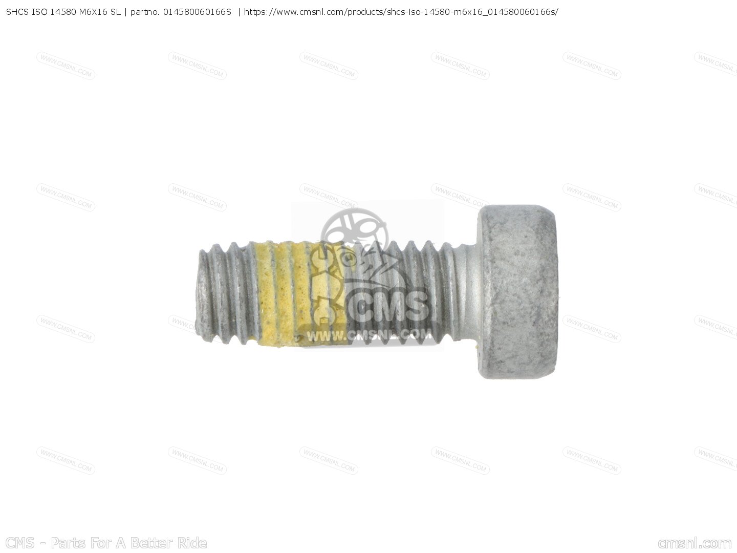 SHCS ISO 14580 M6X16 SL for 690 SMC R US 2020 - order at CMSNL