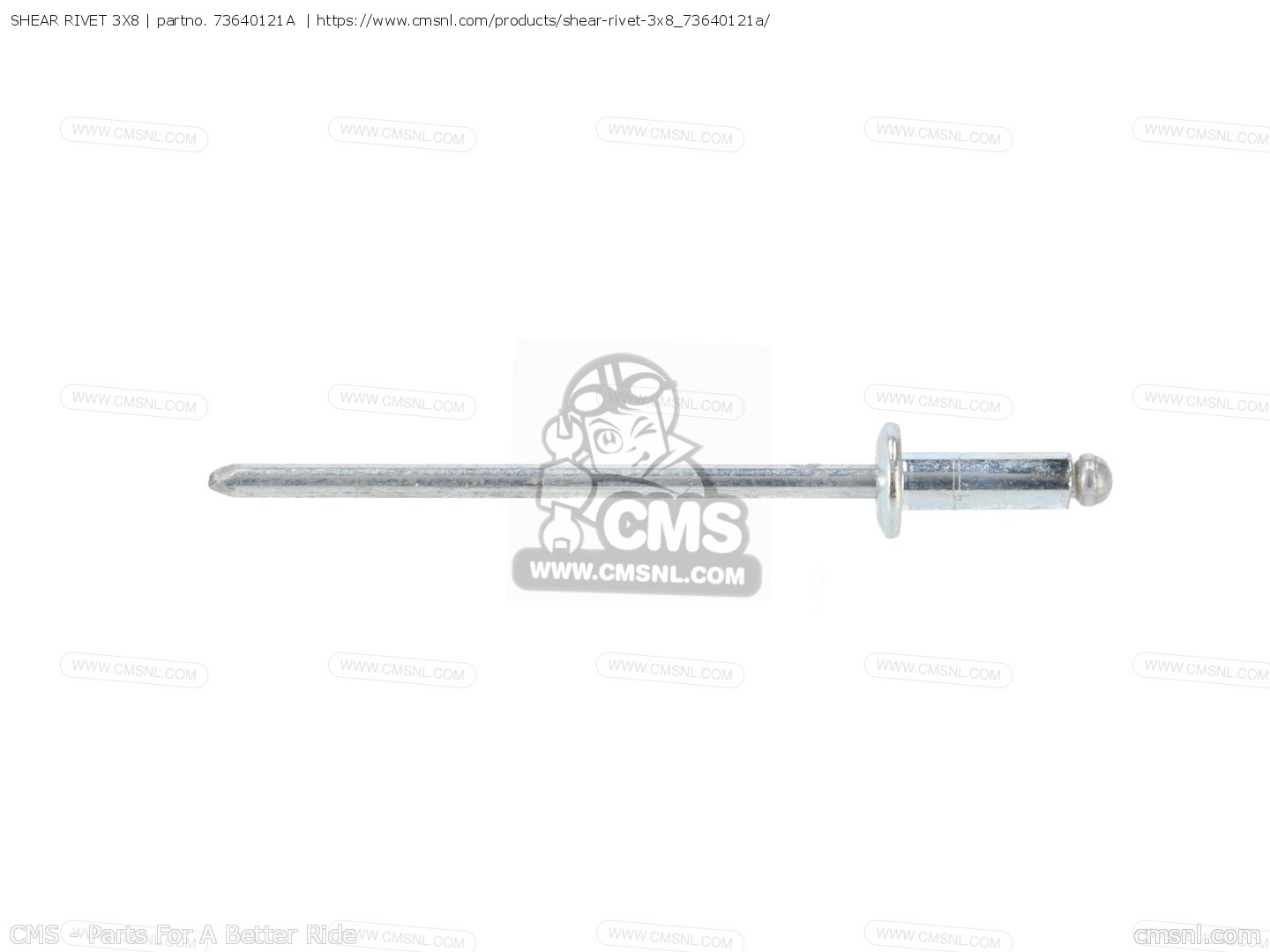 73640121A: SHEAR RIVET 3X8 Ducati - buy the 73640121A at CMSNL